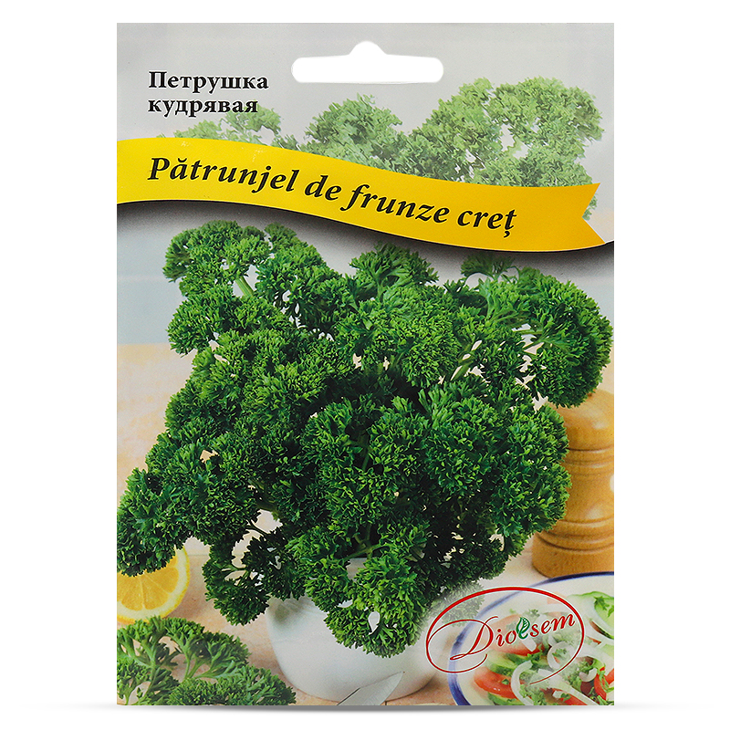 Maxi Pătrunjel de frunze creţ